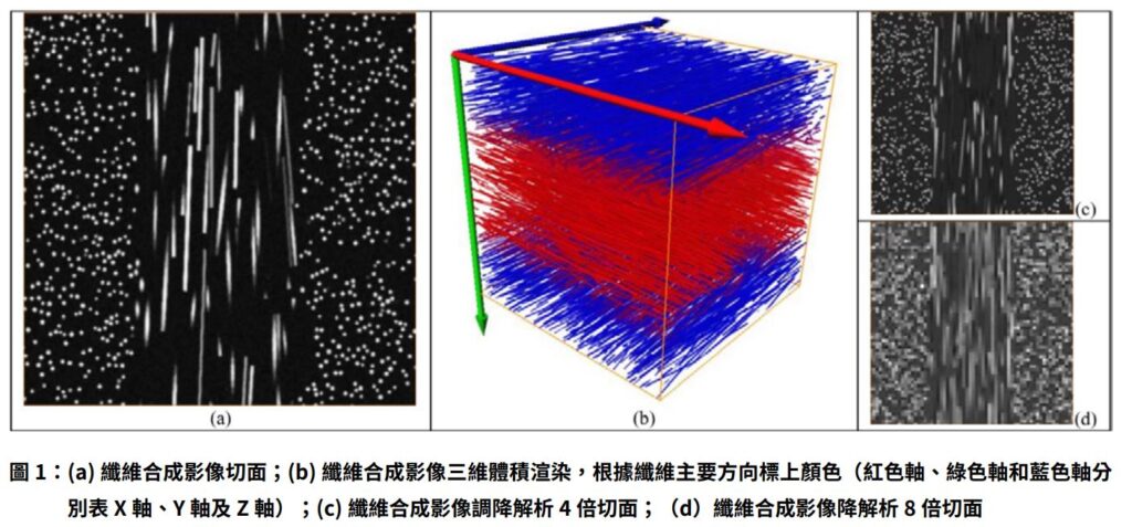 Avizo XFiber 纖維材料排向分析方法比較 - CAE模具成型技術雜誌